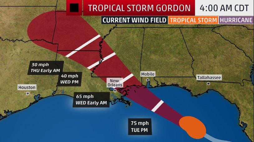 Hurricane Gordon / The Rental Trap - Shane Willis